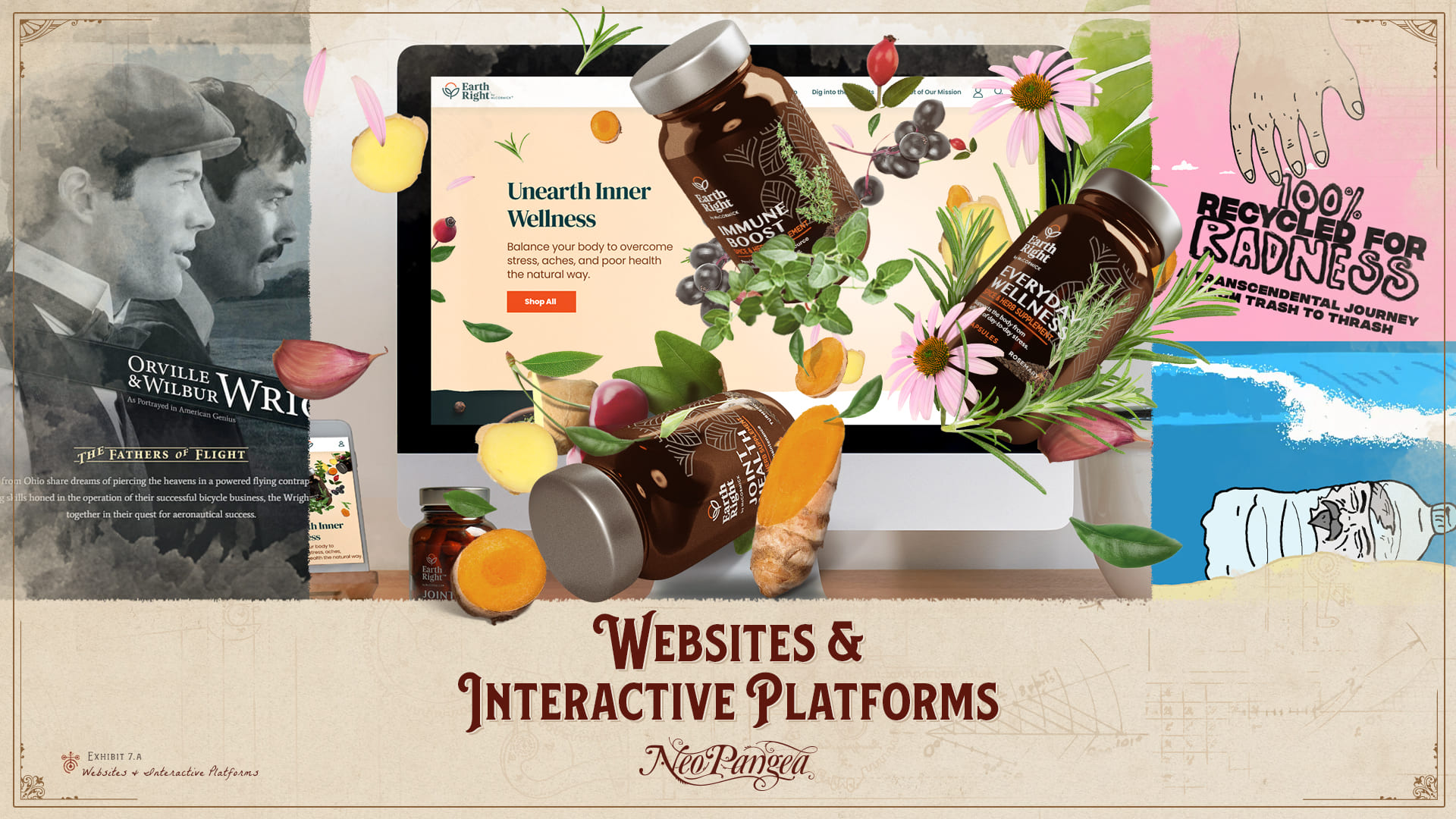 Websites & Interactive Advertising Agency | NeoPangea